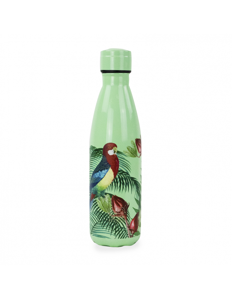 Insulated Botanic Bottle - Parrot 500 ml